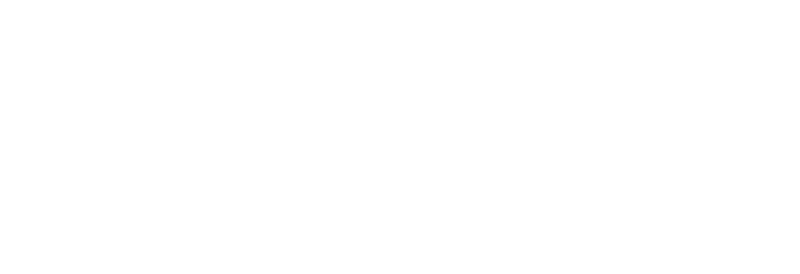 Logion | Safe Digital Ownership